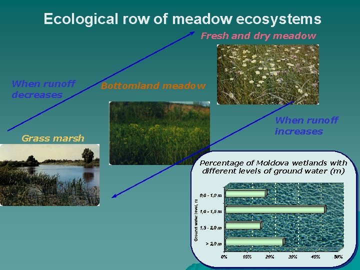 Forest ecosystems forecasting modeling and vulnerability Roman COROBOV