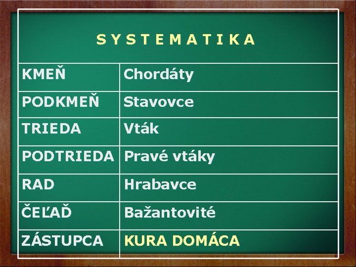 KURA DOMCA GALLUS DOMESTICUS S Y S T