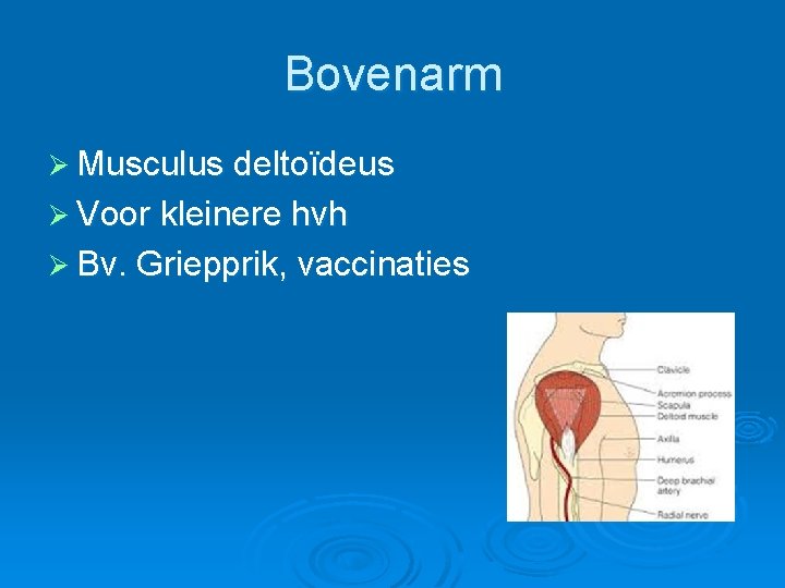 Intramusculair injecteren Injecteren parenteraal toedienen medicijnen ...