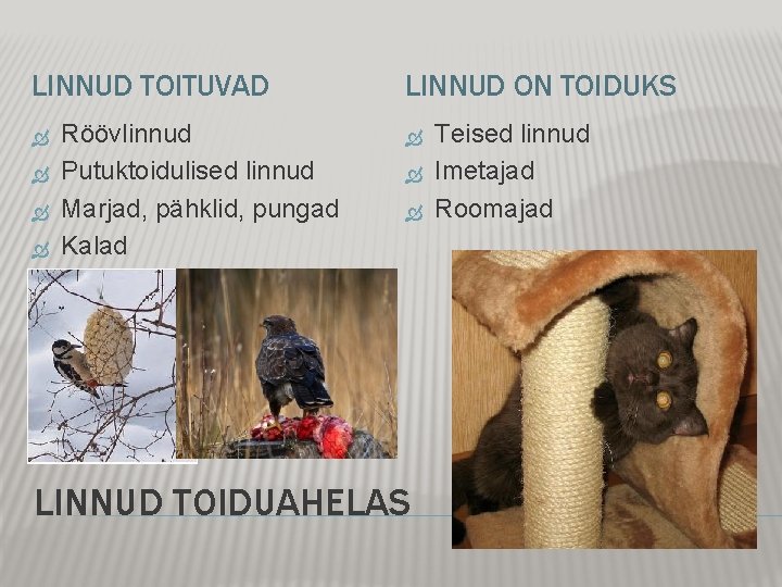 Koostas Leelo Lusik LINNUD ON KOHASTUNUD LENDAMA MIKS