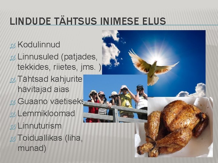 Koostas Leelo Lusik LINNUD ON KOHASTUNUD LENDAMA MIKS