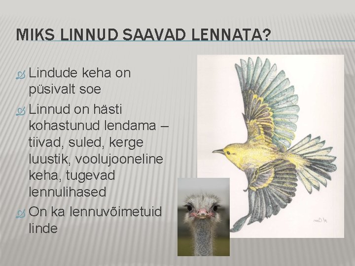 Koostas Leelo Lusik LINNUD ON KOHASTUNUD LENDAMA MIKS