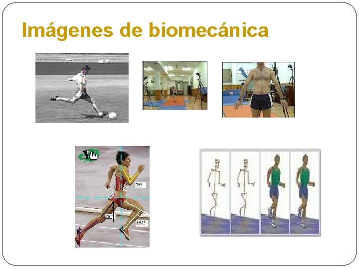 biomecnica introduccin Biomecnica es La ciencia que trata