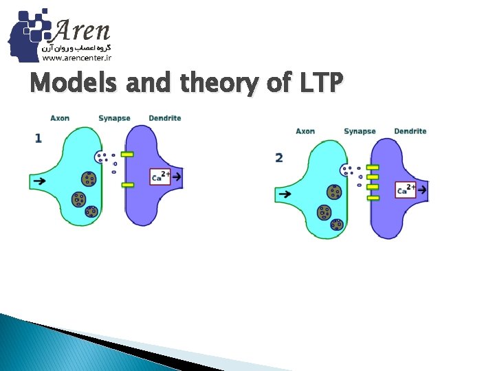 Brain Stimulation Methods Electroconvulsive therapy ECT Cranial electrical