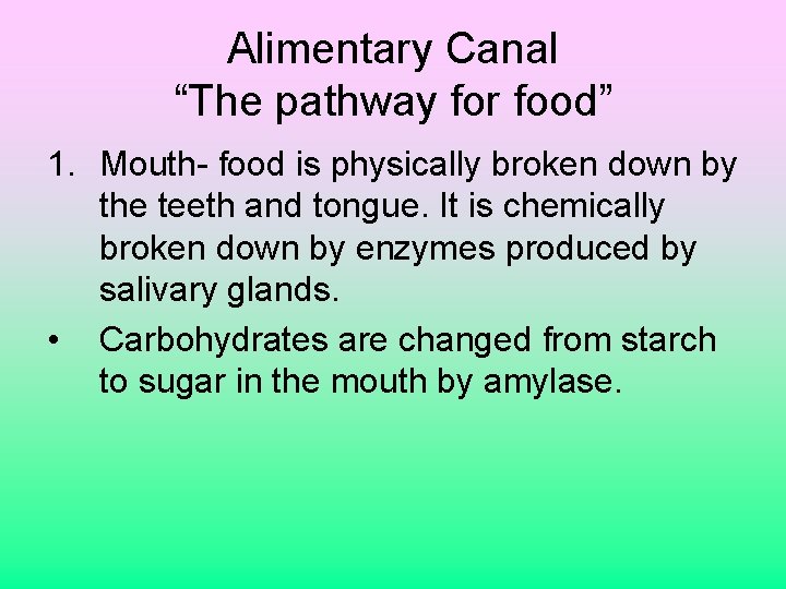 Alimentary Canal The pathway for food 1 Mouth