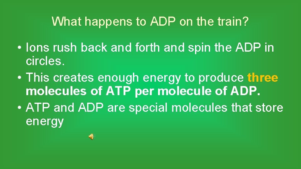 Bell ringer 1 Define cellular respiration 2 Use