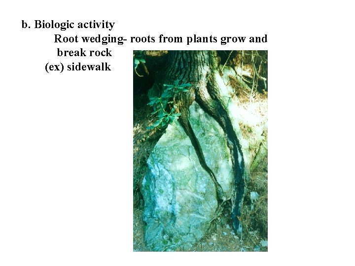 Weathering Erosion and Deposition DO NOW What is