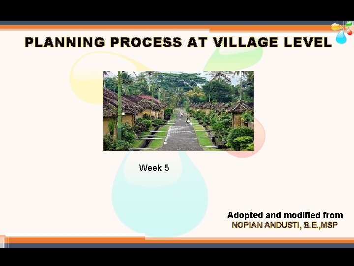 PLANNING PROCESS AT VILLAGE LEVEL Week 5 Adopted