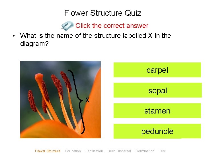 Plant Reproduction Click to Enter INSTRUCTIONS Ensure that