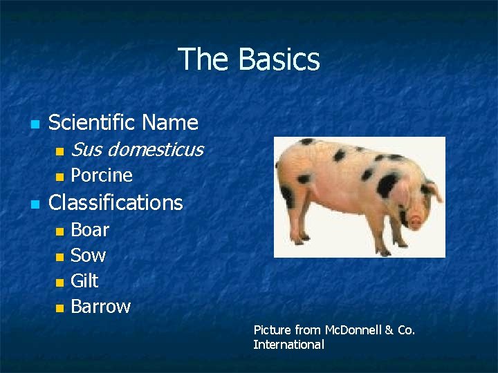 Introduction to Swine Production Pictures from martinlittle com