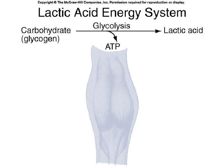 Chapter 2 Fuel Sources Exercise Metabolism Table 3