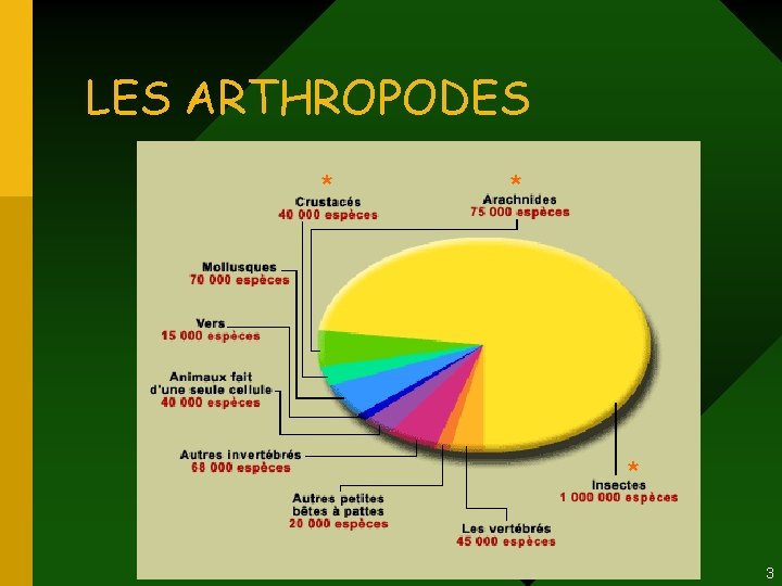 M 1 SVT LES INSECTES 1 LES ARTHROPODES