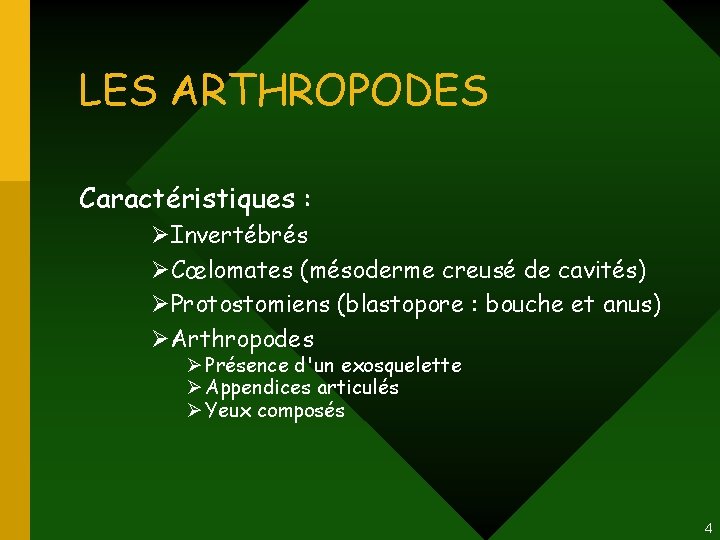M 1 SVT LES INSECTES 1 LES ARTHROPODES