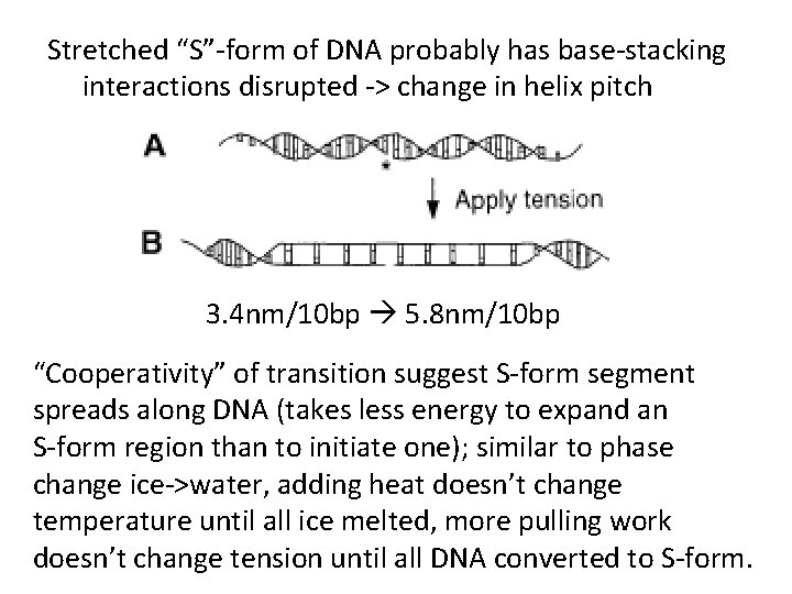 Mechanical properties of DNA under stretching Why important