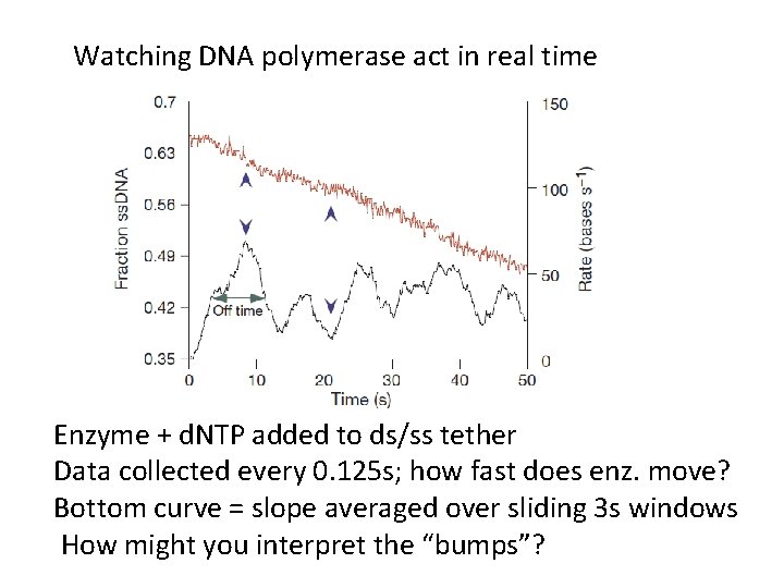 Mechanical properties of DNA under stretching Why important