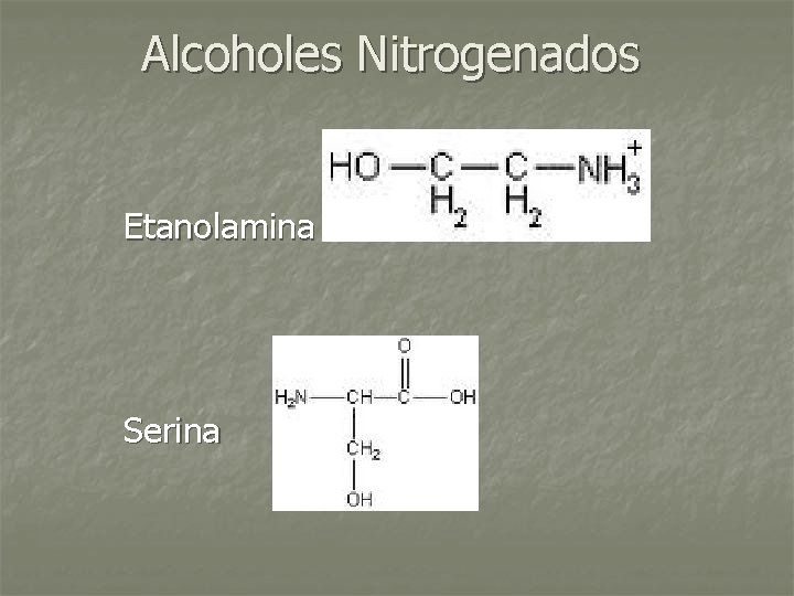 SEMANA 28 Licda Brbara Toledo Ch Clasificacin de