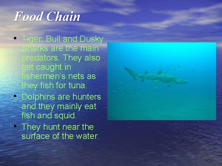 DOLPHINS By 5 th Grade Biome Dolphins live