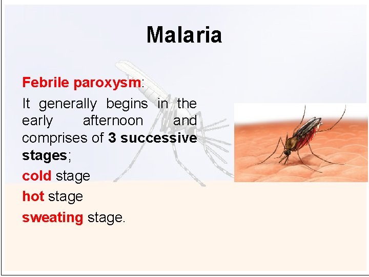 MALARIA Malaria Sporozoa belong to the phylum Apicomplex