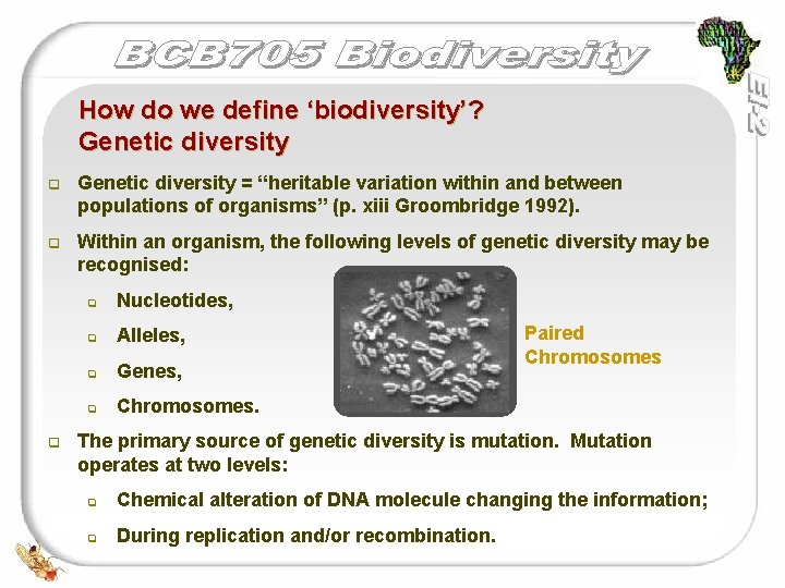 Biodiversity what is it l l Gwen Raitt