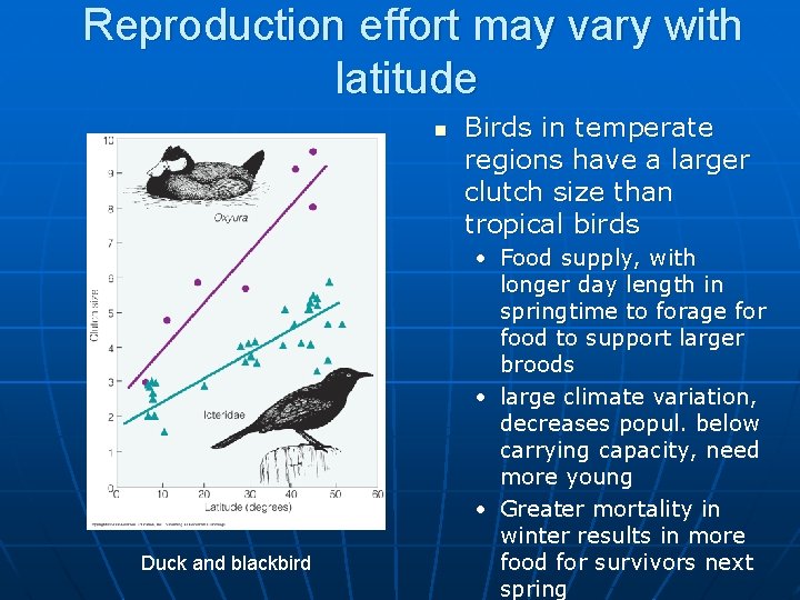 BIOL 4120 Principles of Ecology Lecture 7 Life