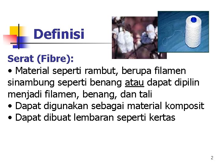 PENGETAHUAN BAHAN AGROINDUSTRI TIN 250 SERAT Oleh Tim