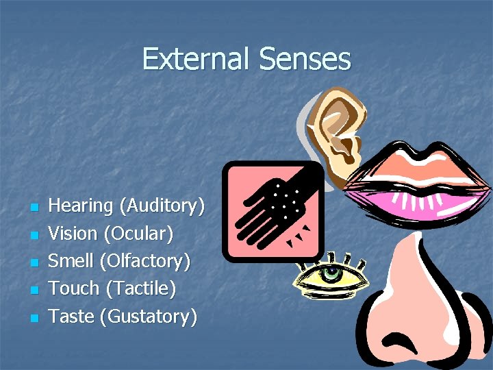 Understanding Sensory Processing Disorders Developed by Connie Ortman