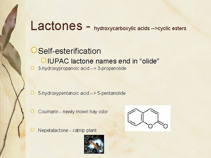 Carboxylic Acids Esters Amides Carboxylic Acids Carboxyl group