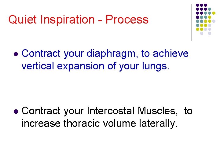 Respiratory Physiology Ventilation Gas exchange Oxygen uptake utilization