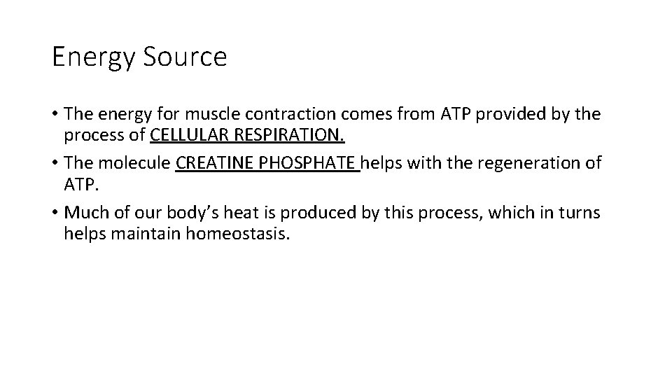 Chapter 6 Muscular System Types of Muscles Skeletal
