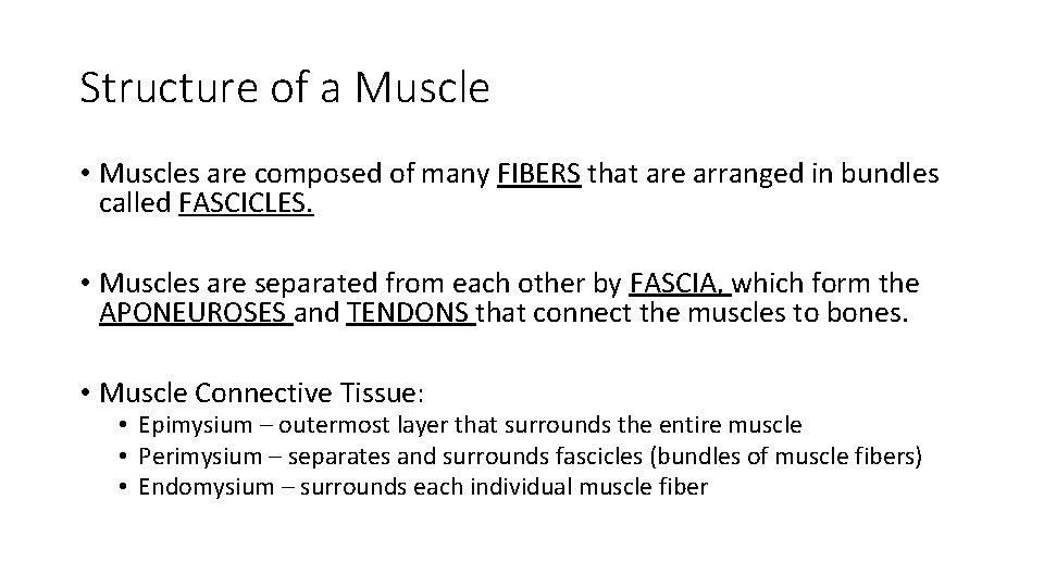 Chapter 6 Muscular System Types of Muscles Skeletal