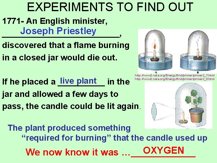 http vilenski orgsciencesafaricellstructurechloroplasts html REACTIONS ...