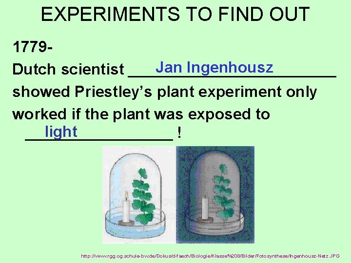http vilenski orgsciencesafaricellstructurechloroplasts html REACTIONS ...