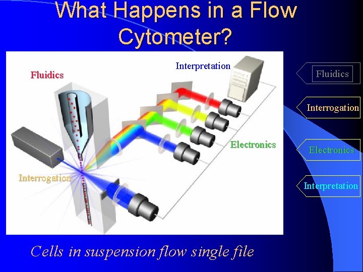 Flow Cytometry Lab Wintrobe Bldg Rm 221 https