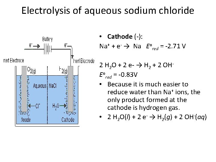 Electrolysis Of Salt Water Half Equations - Tessshebaylo