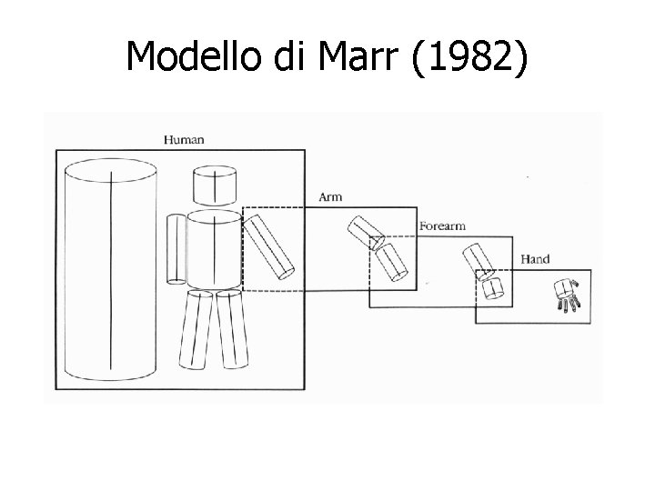 Modello di Marr 1982 Il sistema visivo analizzerebbe