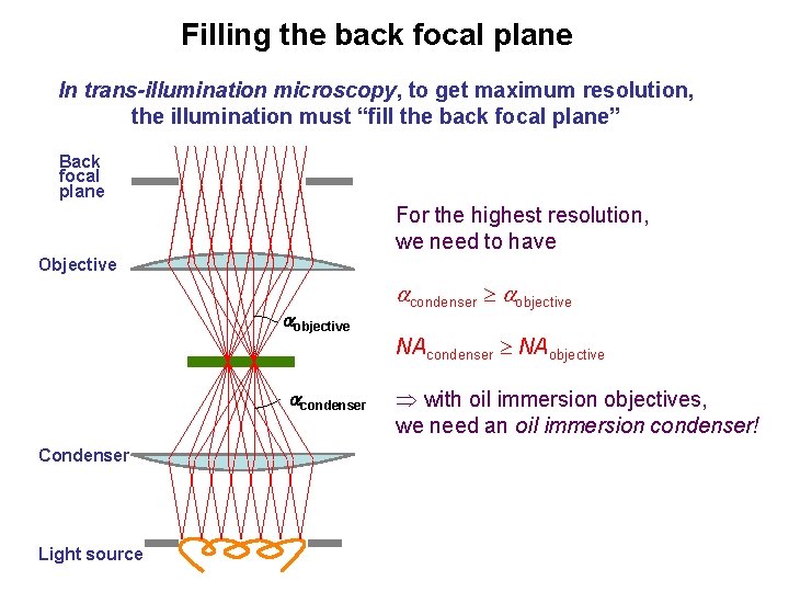 Principles Practice of Light Microscopy 2 Image T