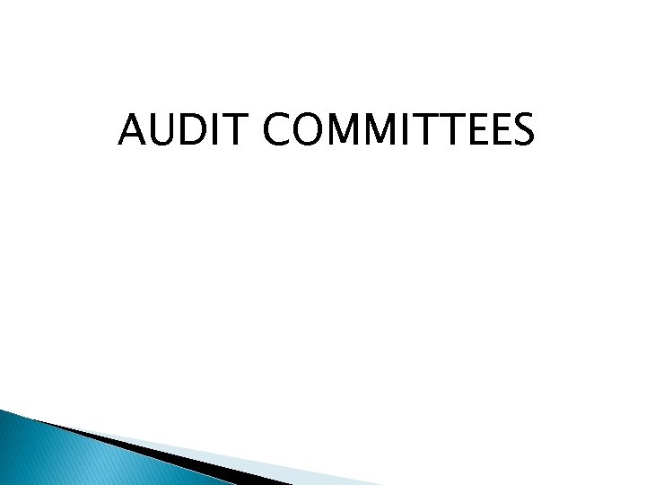 Auditing Assurance and Governance in Local Government IPA