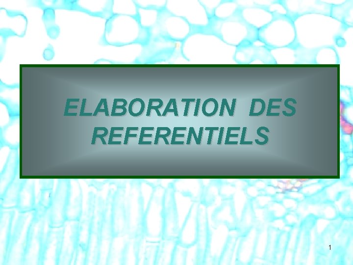 ELABORATION DES REFERENTIELS 1 CREATION DUN DIPLOME PHASE
