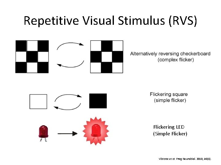 Brain Computer Interfaces Digital Signal Processing of SteadyState