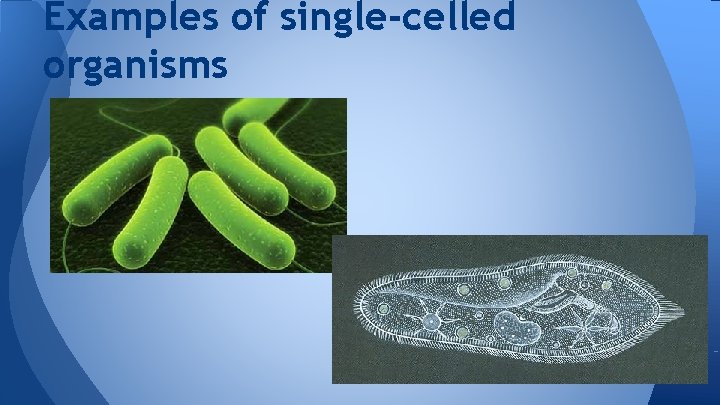 How Do We Know if Something is Living