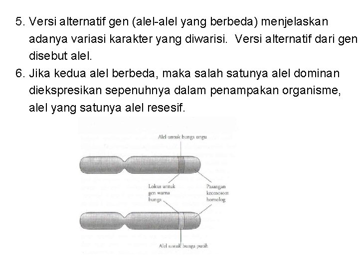 MENDEL Genetika tentang gen pewarisannya perubahan dan keragamannya