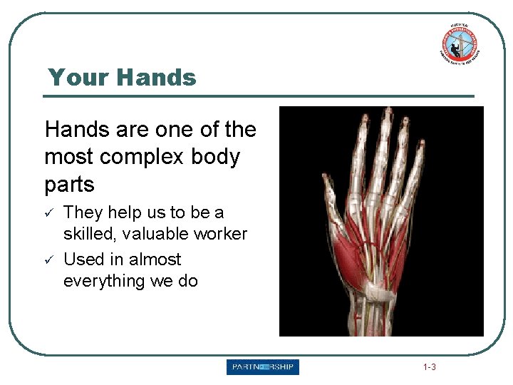 Hand Safety Continuing Education Fourth Quarter 2018 Session