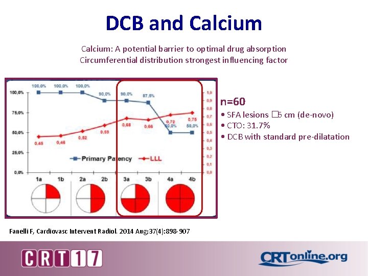 DCB Potential Beyond the Selected SFA Lesions Types