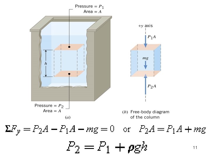 Ch 11 Fluids Mass Density Fluids are materials