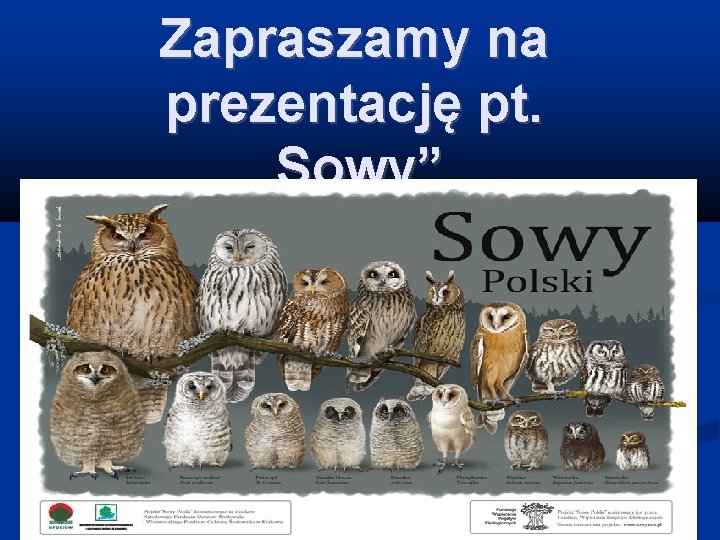 Zapraszamy na prezentacj pt Sowy Sowy polski Do