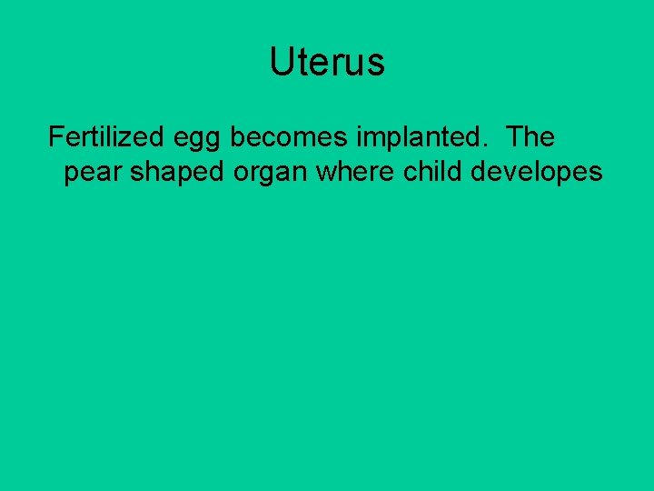 Chapter 7 Lesson 4 The Female Reproductive System