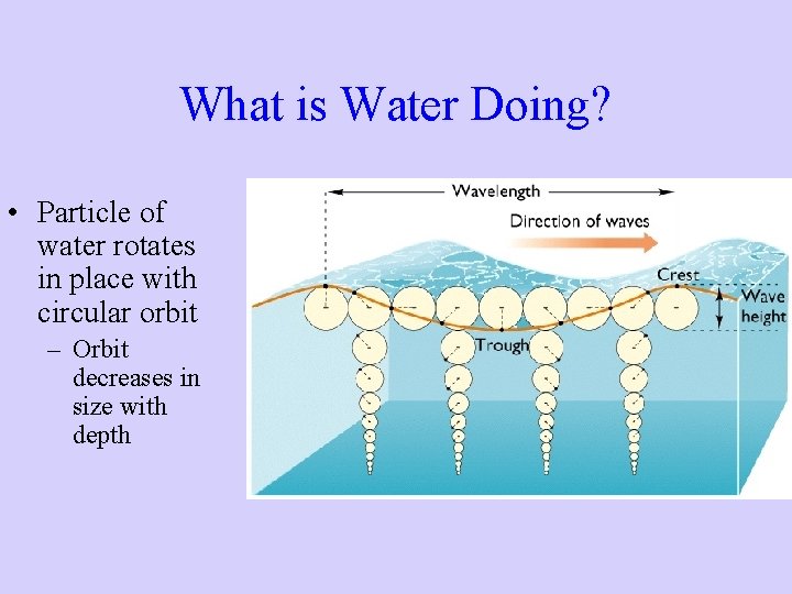 Coastal Processes and Hazards Outline Why is this