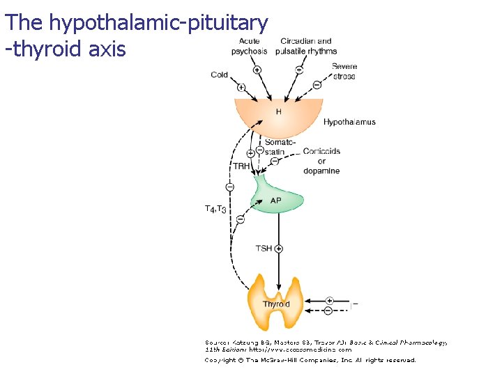 Thyroid and Antithyroid Drugs By Bohlooli S Ph