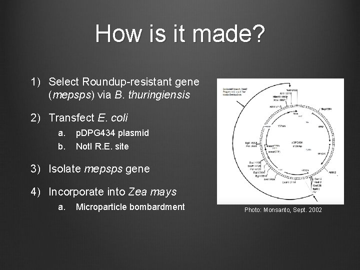 Ready Roundup corn A case study Presentation by