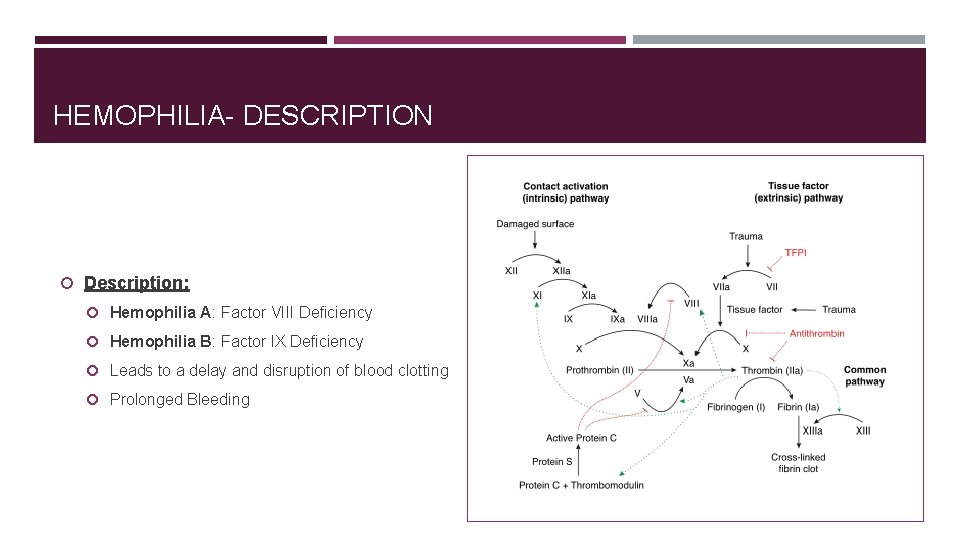 HEMOPHILIA A HEMOPHILIA B BY BRITTNI MCCLELLAN CLASSIFICATIONS